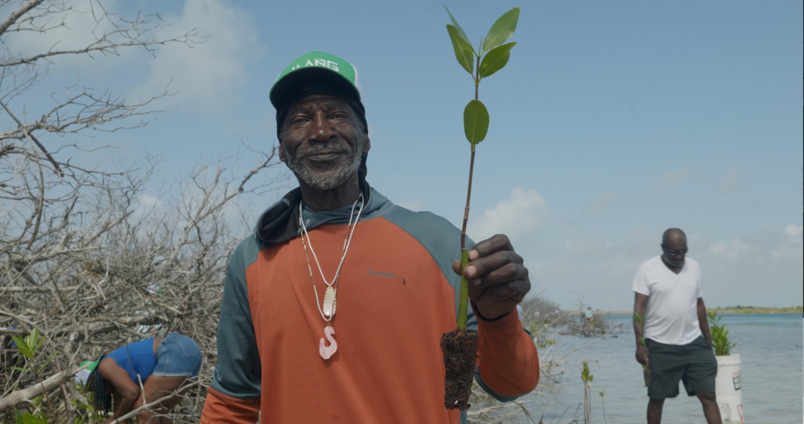 Our Impact - Mangrove Action Project